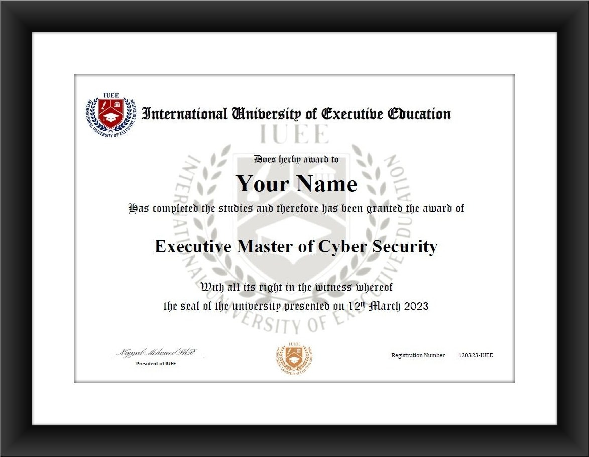 Executive Master in Cyber Security - IUEE University The International ...