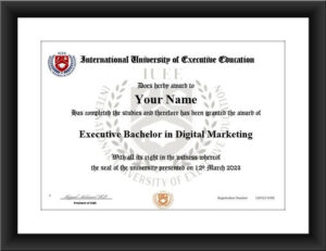 Executive Bachelor in Digital Marketing Online - IUEE University The ...